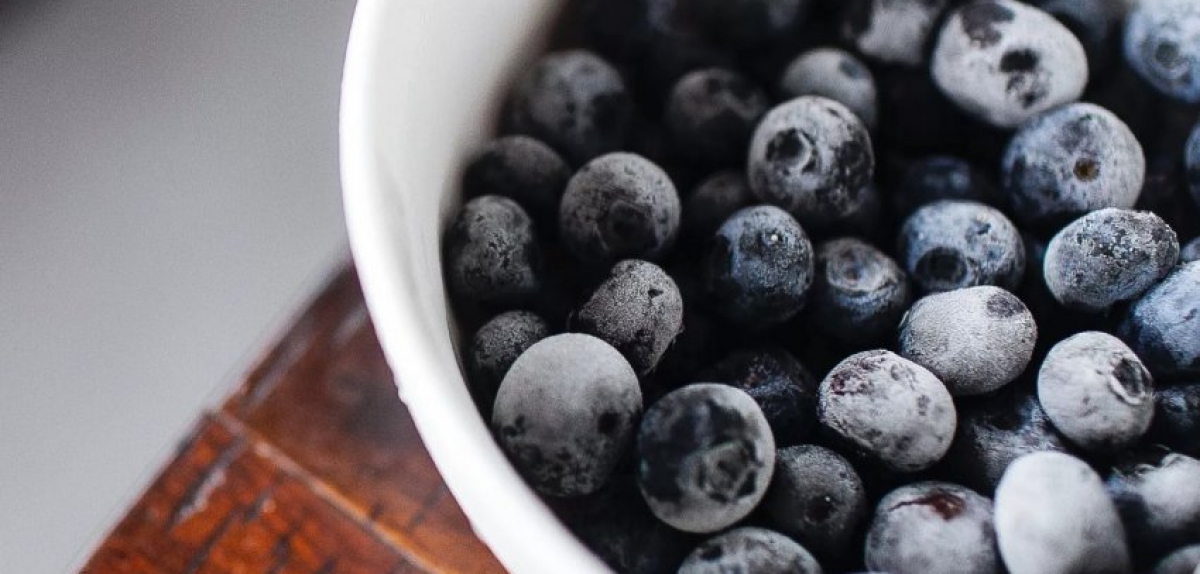 Why Chilling should be Compulsory for Processing IQF Blueberry - АЯУ, UBA
